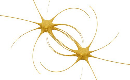 Point charges plot | WLJS Notebook